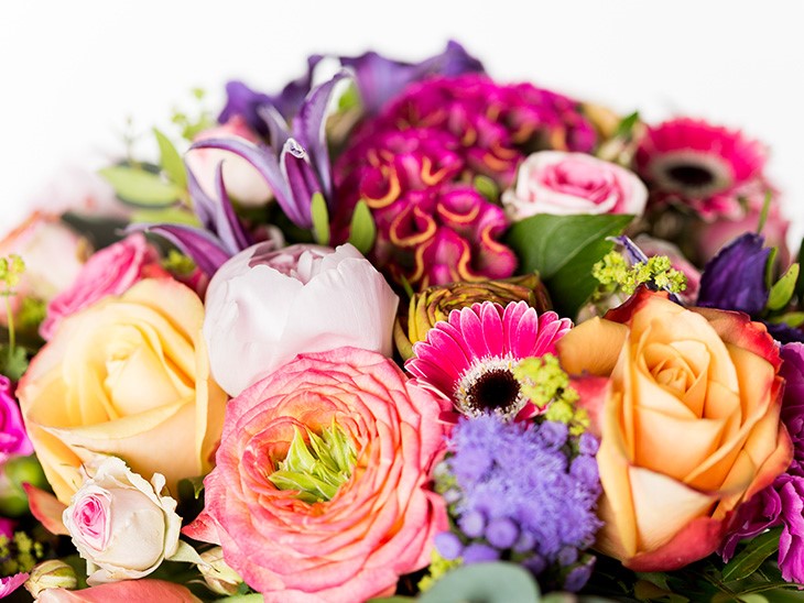 Dé snijbloemen-specialist in Appingedam | de Zwaan Bloemen Appingedam